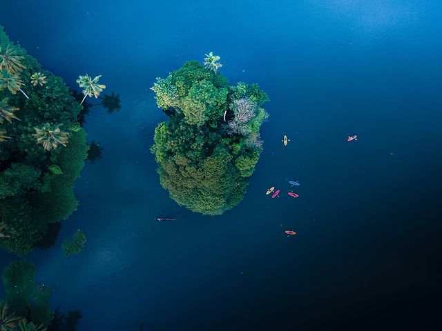 Nadodi Kayaking in Alleppey Backwaters 🛶